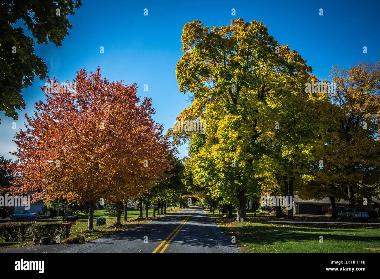 Fall, Autumn seasonal Stock Photo - Alamy