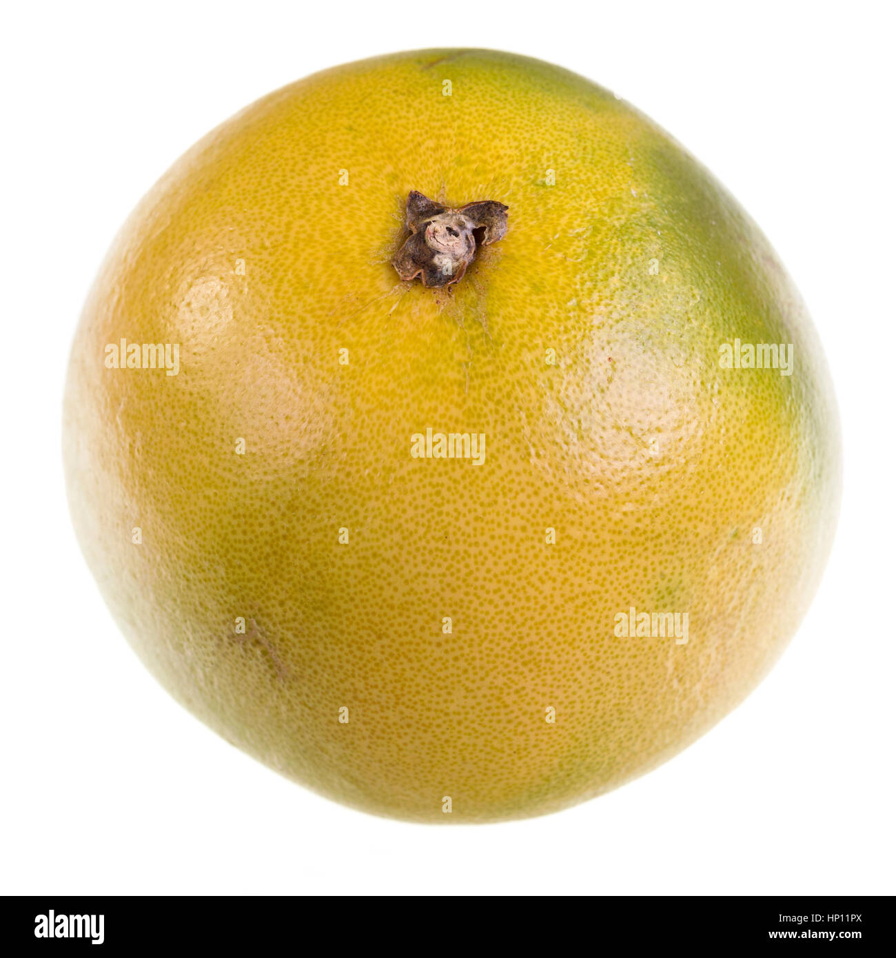 Pale green pomelo, citrus maxima, on white background Stock Photo - Alamy