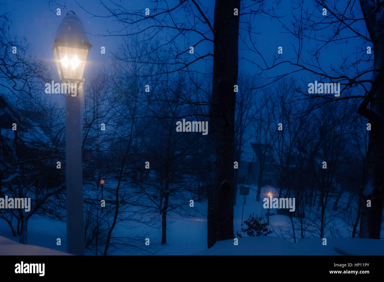 Snowfall excitement hi-res stock photography and images - Alamy