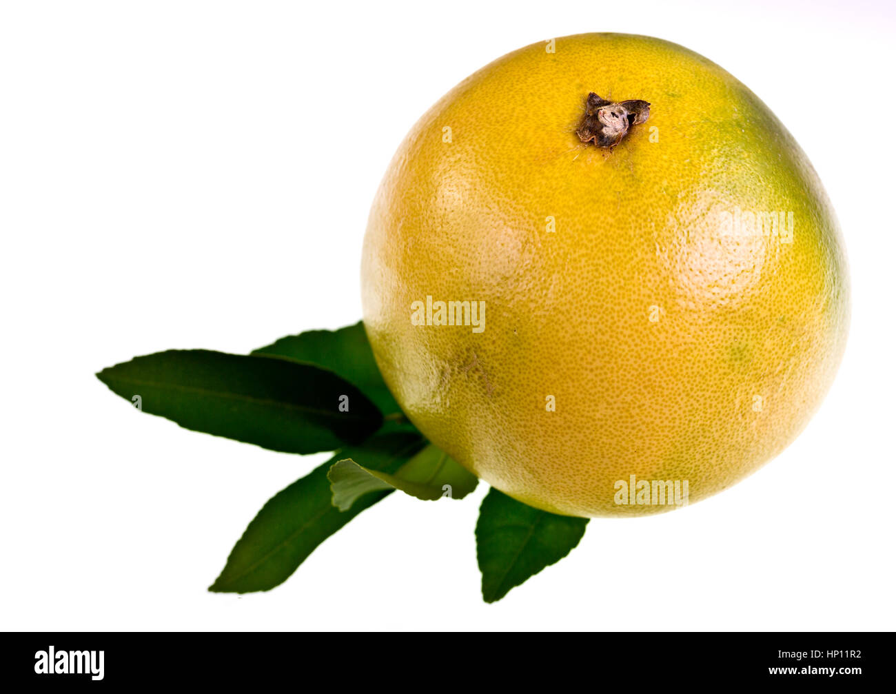 Citrus maxima hi-res stock photography and images - Alamy