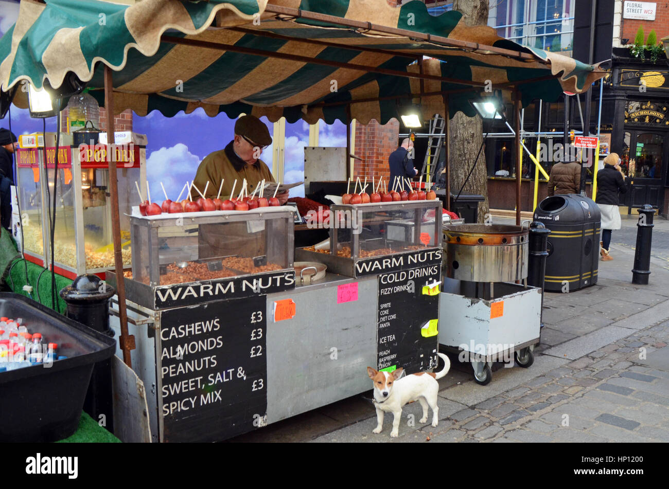 Toffee dog hi-res stock photography and images - Alamy