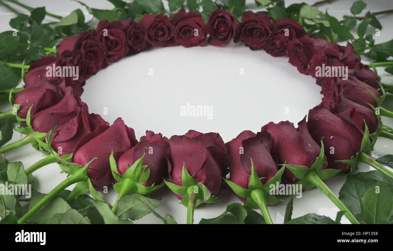 Round frame of red roses with water droplets on white background Stock ...