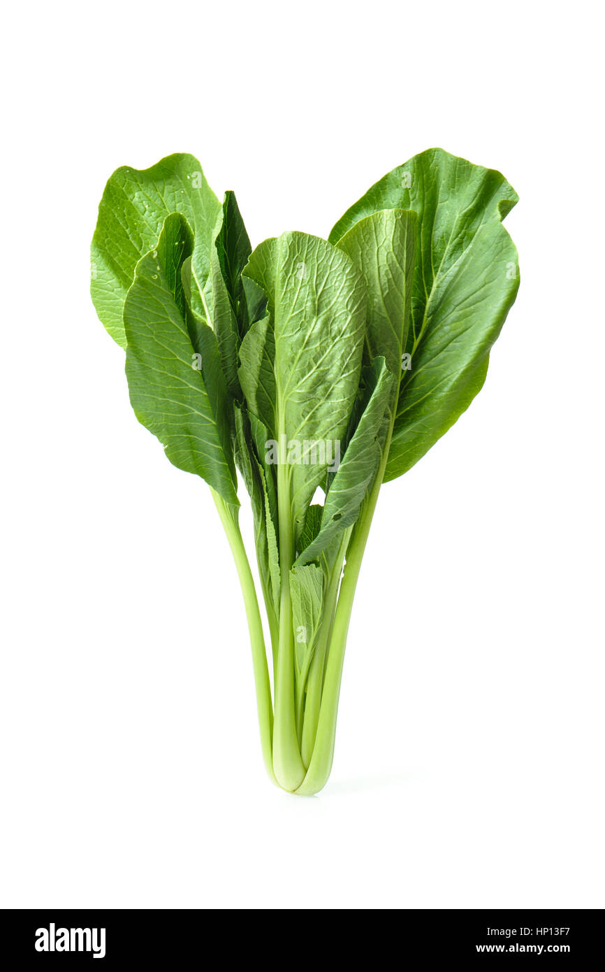 green choy isolated on white background Stock Photo - Alamy