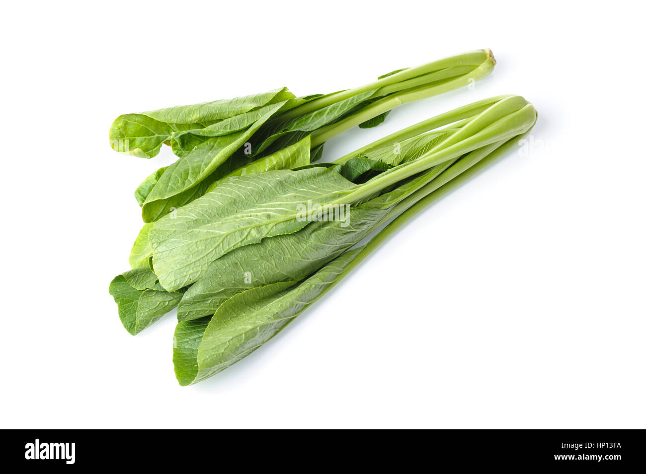 green choy isolated on white background Stock Photo - Alamy