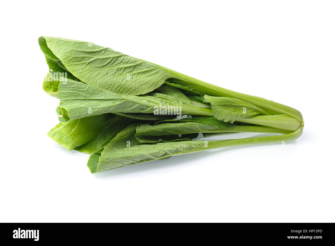 green choy isolated on white background Stock Photo - Alamy