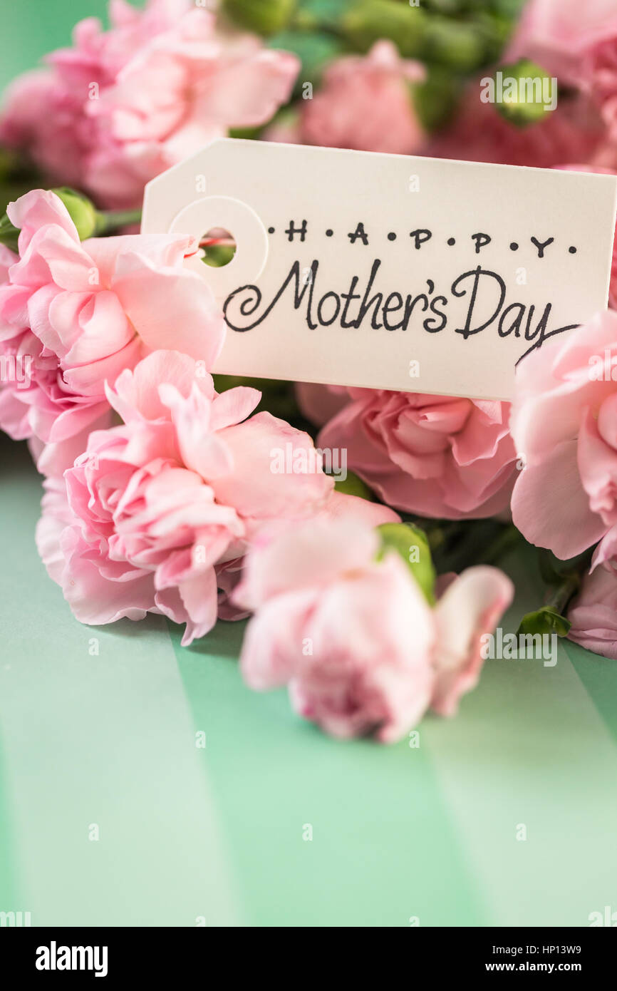 Pink flowers for Mother's Day on stripe paper Stock Photo - Alamy