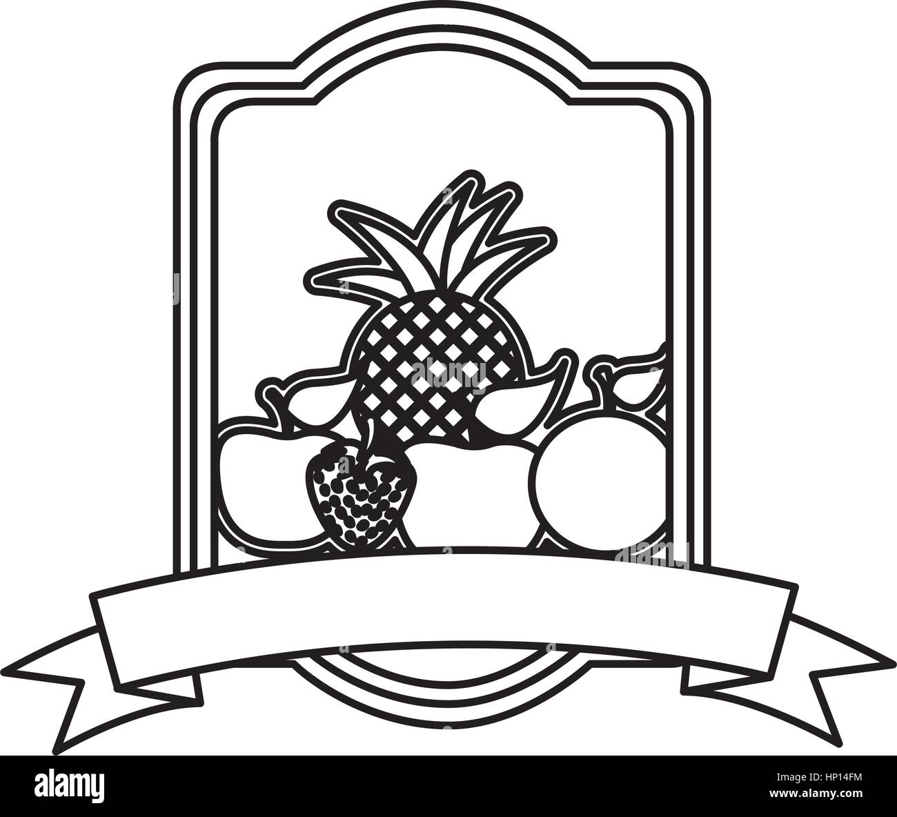 silhouette rectangle heraldic border with still life fruits vector ...