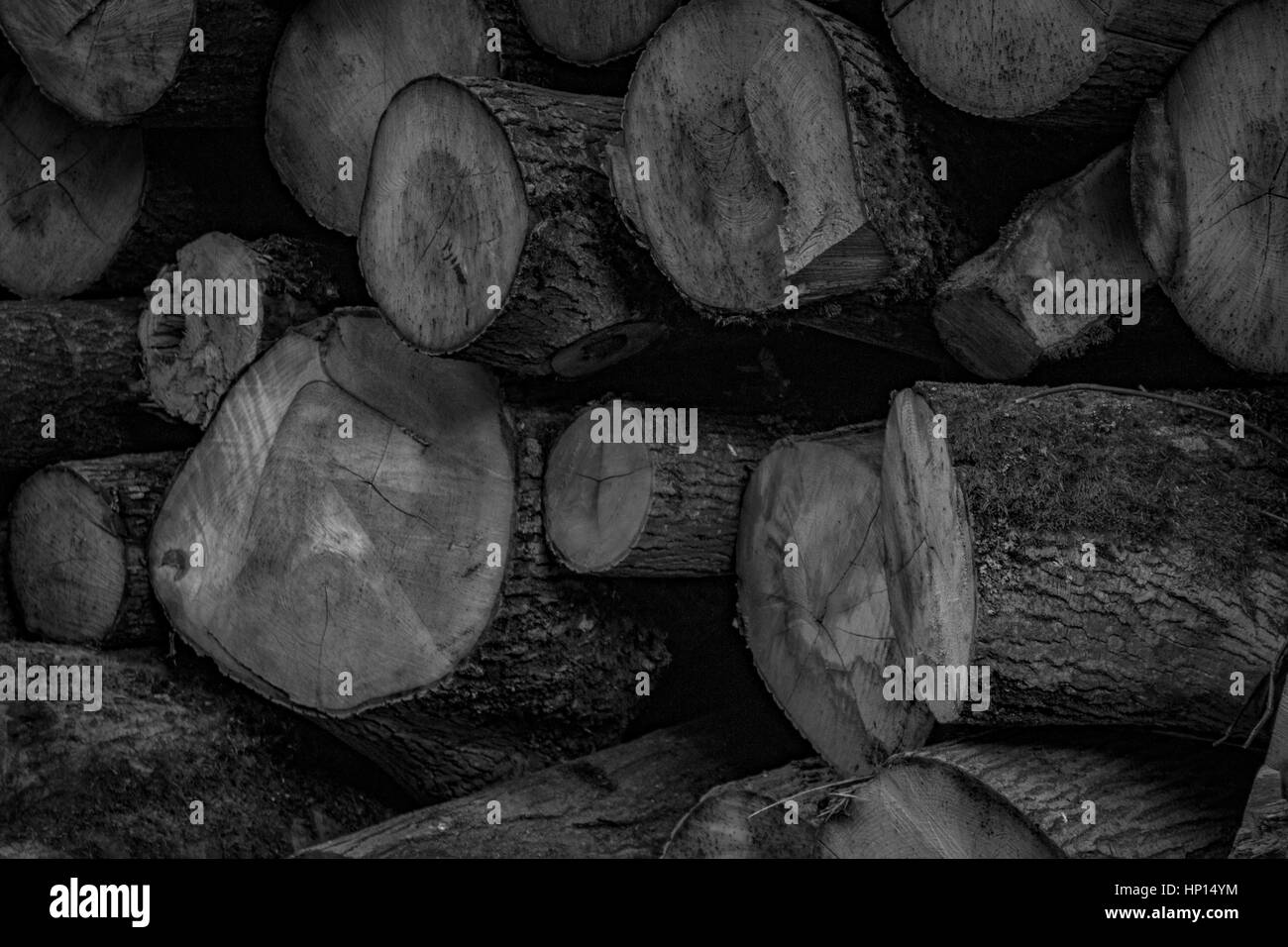 The logs. Shot in Denmark Stock Photo - Alamy