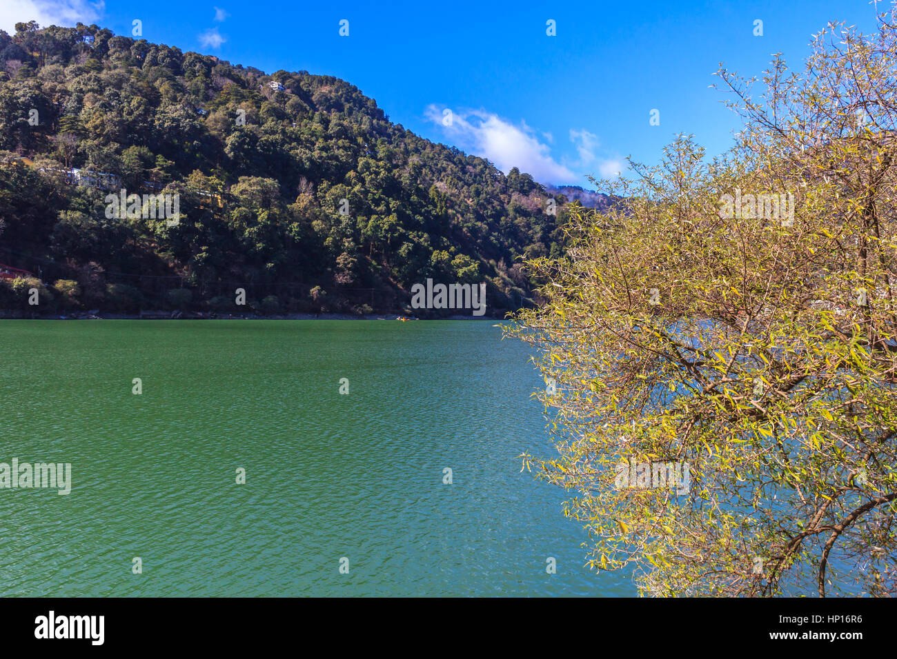 Awesome view of water and forest hi-res stock photography and images ...