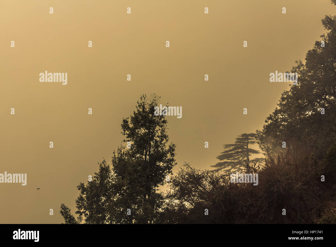 Light fog mountain hi-res stock photography and images - Alamy