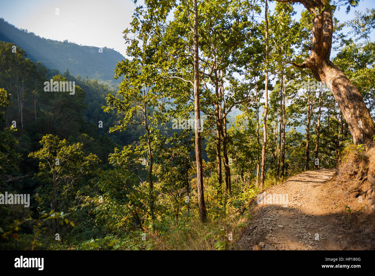 Gufa cave hi-res stock photography and images - Alamy