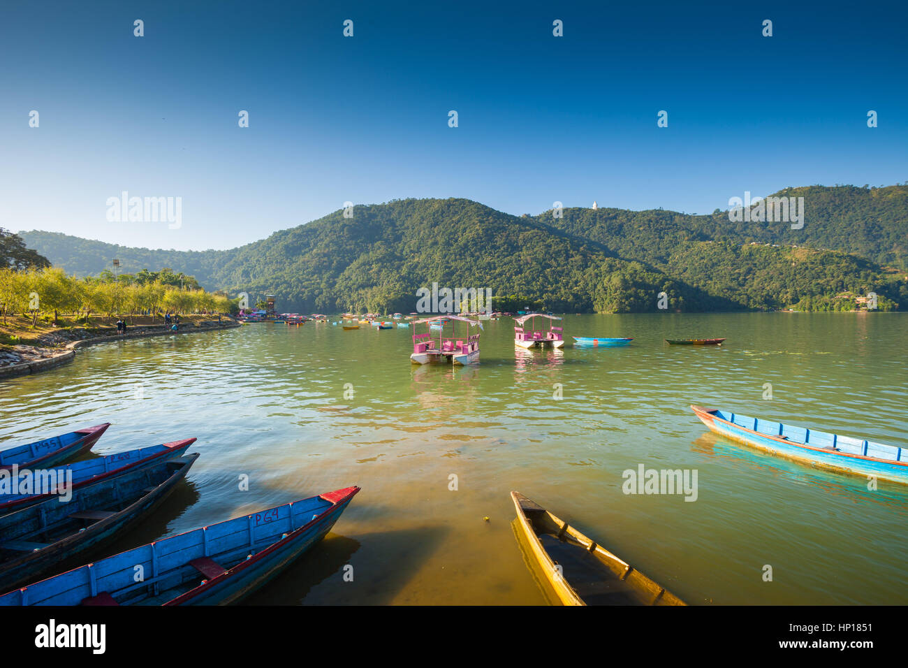Rowboats lined up at Fewa Lake (Phewa Tal), Pokhara, Nepal with ...