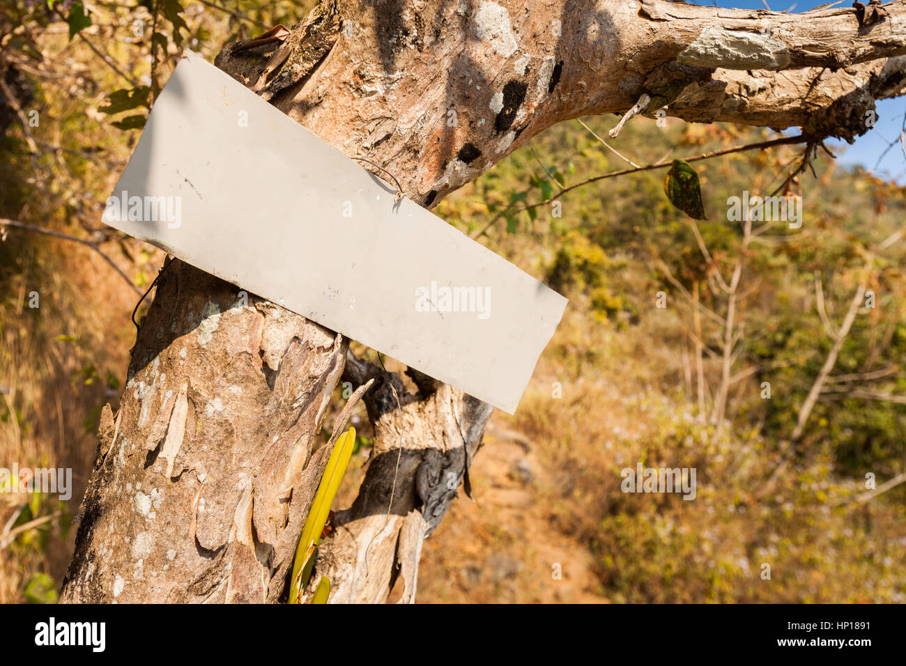 Handwritten metal sign showing the way Stock Photo - Alamy