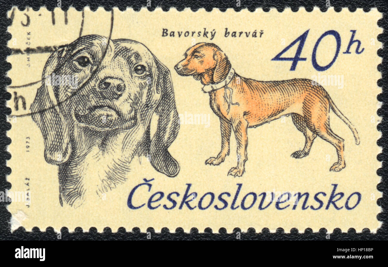 A postage stamp printed in Czechoslovakia shows a Bavarian Hunting Dog ...
