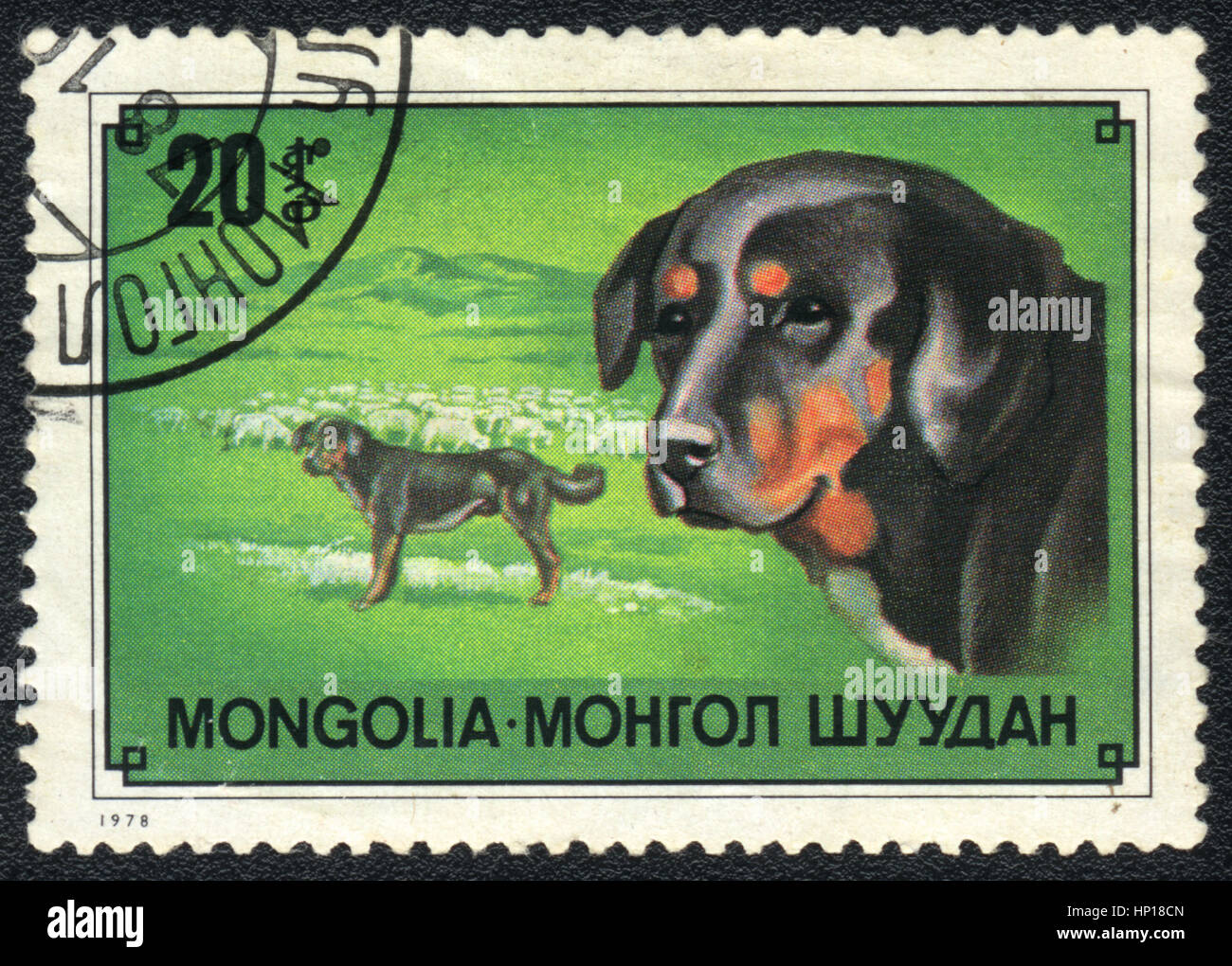 A postage stamp printed in Mongolia shows a Mongolian shepherd, circa ...