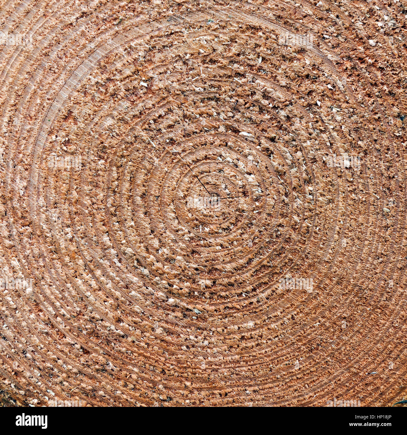 Grooved rings hi-res stock photography and images - Alamy