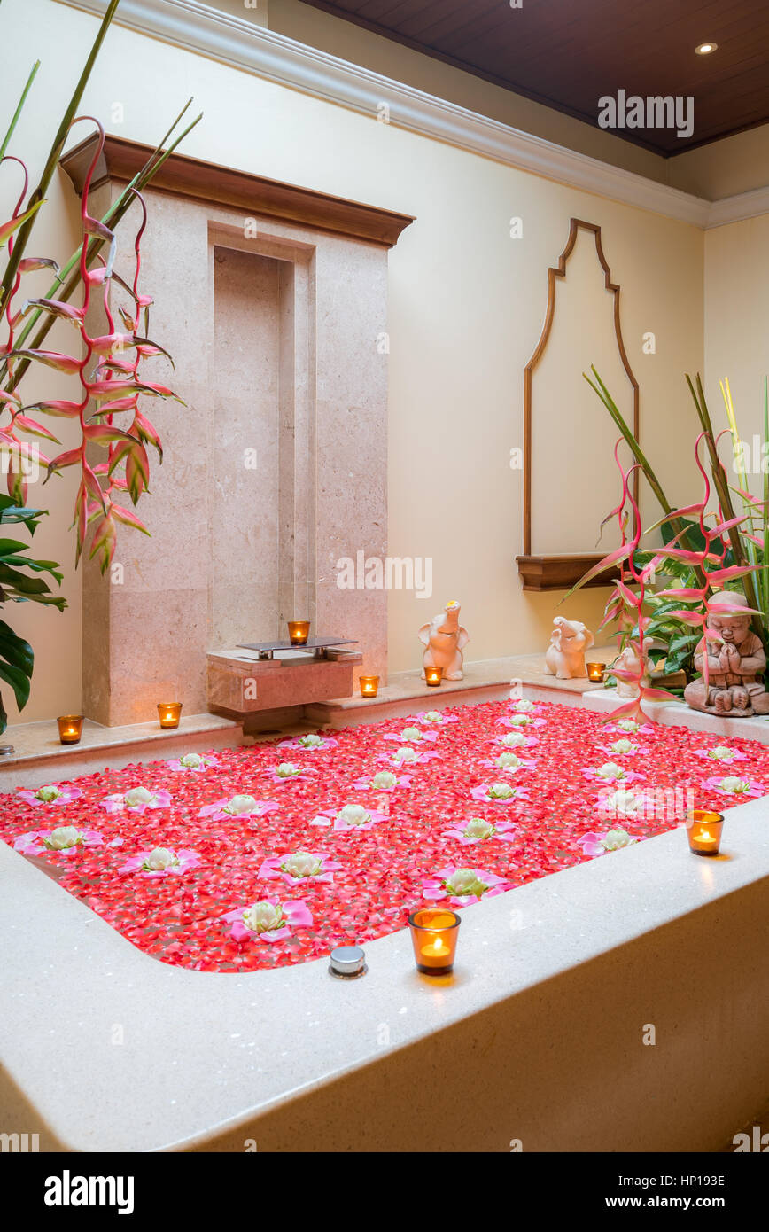 Luxury jacuzzi bathtub in home hi-res stock photography and images - Alamy