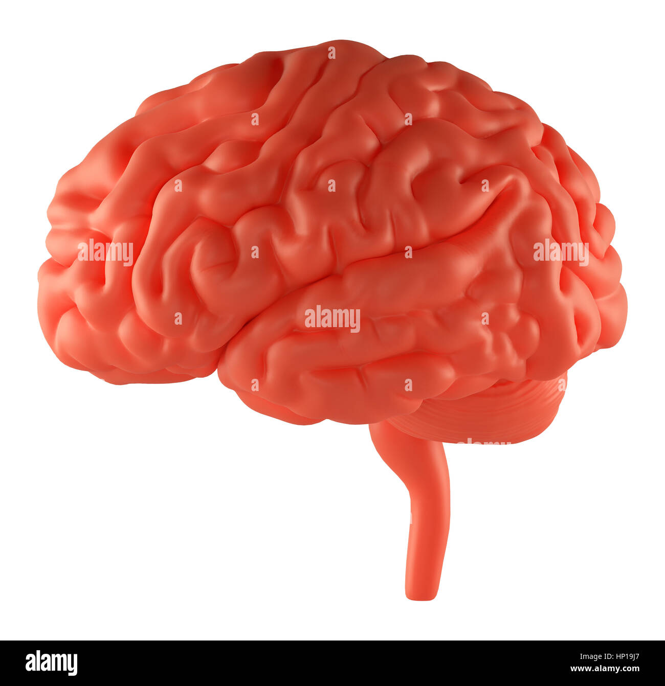 Anger Red Brain Stock Photo - Alamy