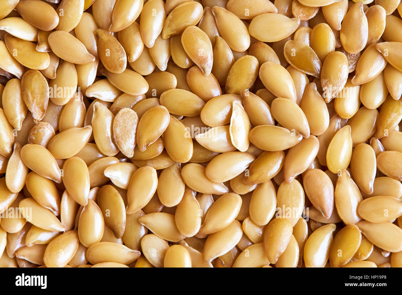 Sesame Seed Actual Size