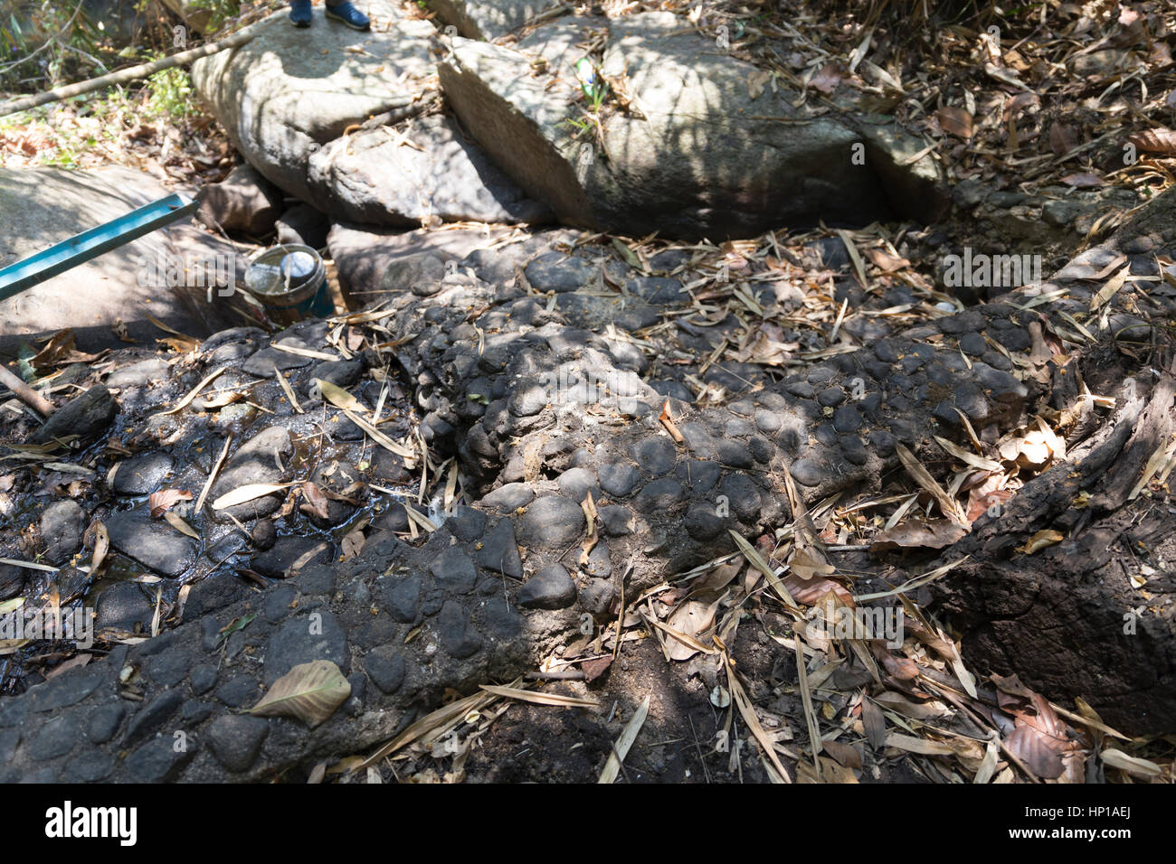 weir on cascade waterway in forest in drought for irrigation Stock ...