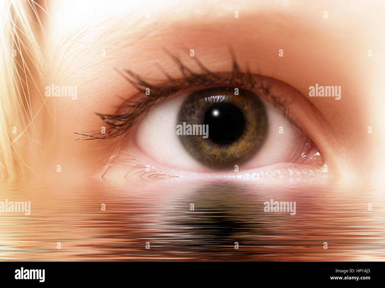 Human eye and reflection hi-res stock photography and images - Alamy