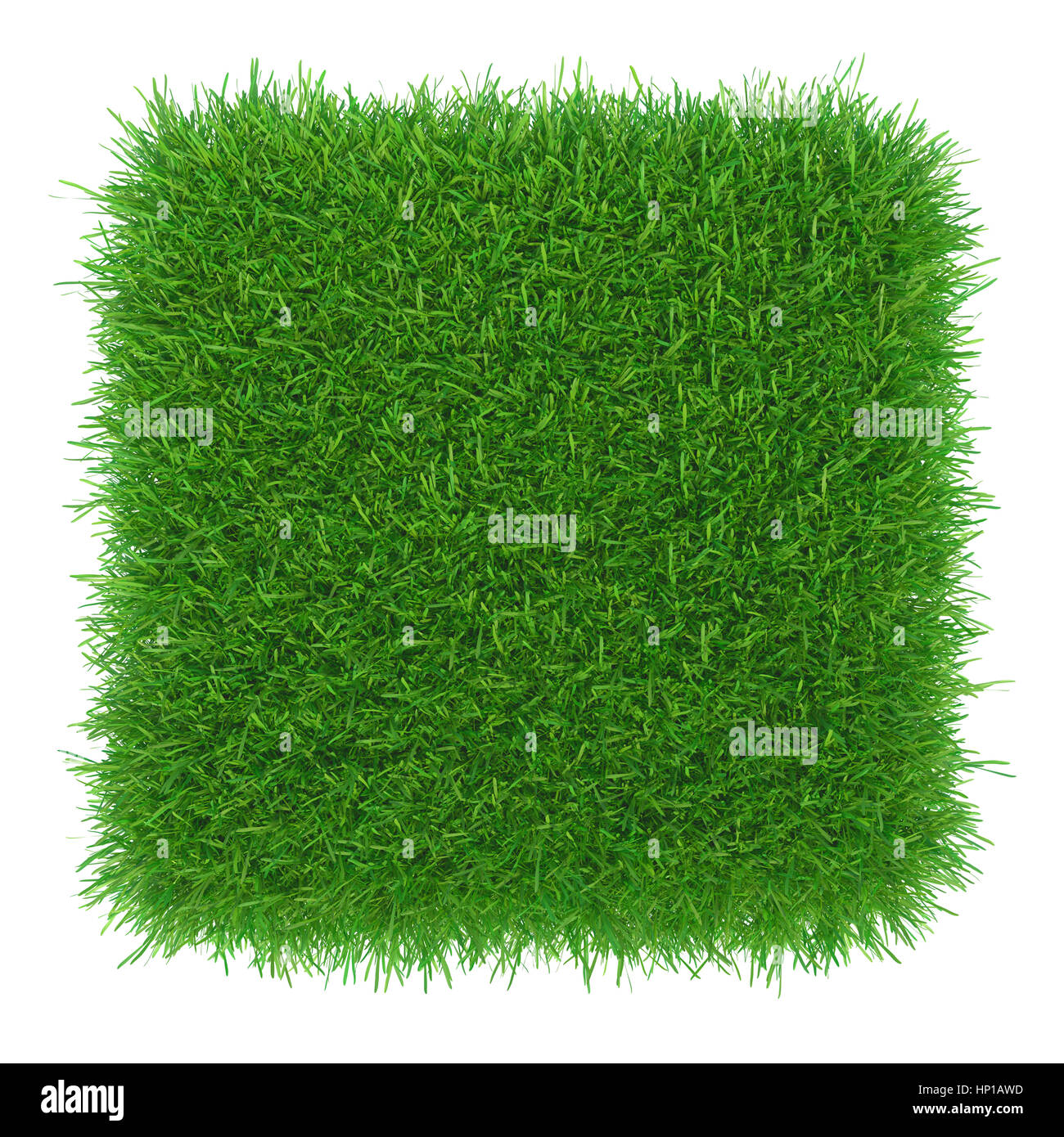 green grass. natural background texture Stock Photo - Alamy