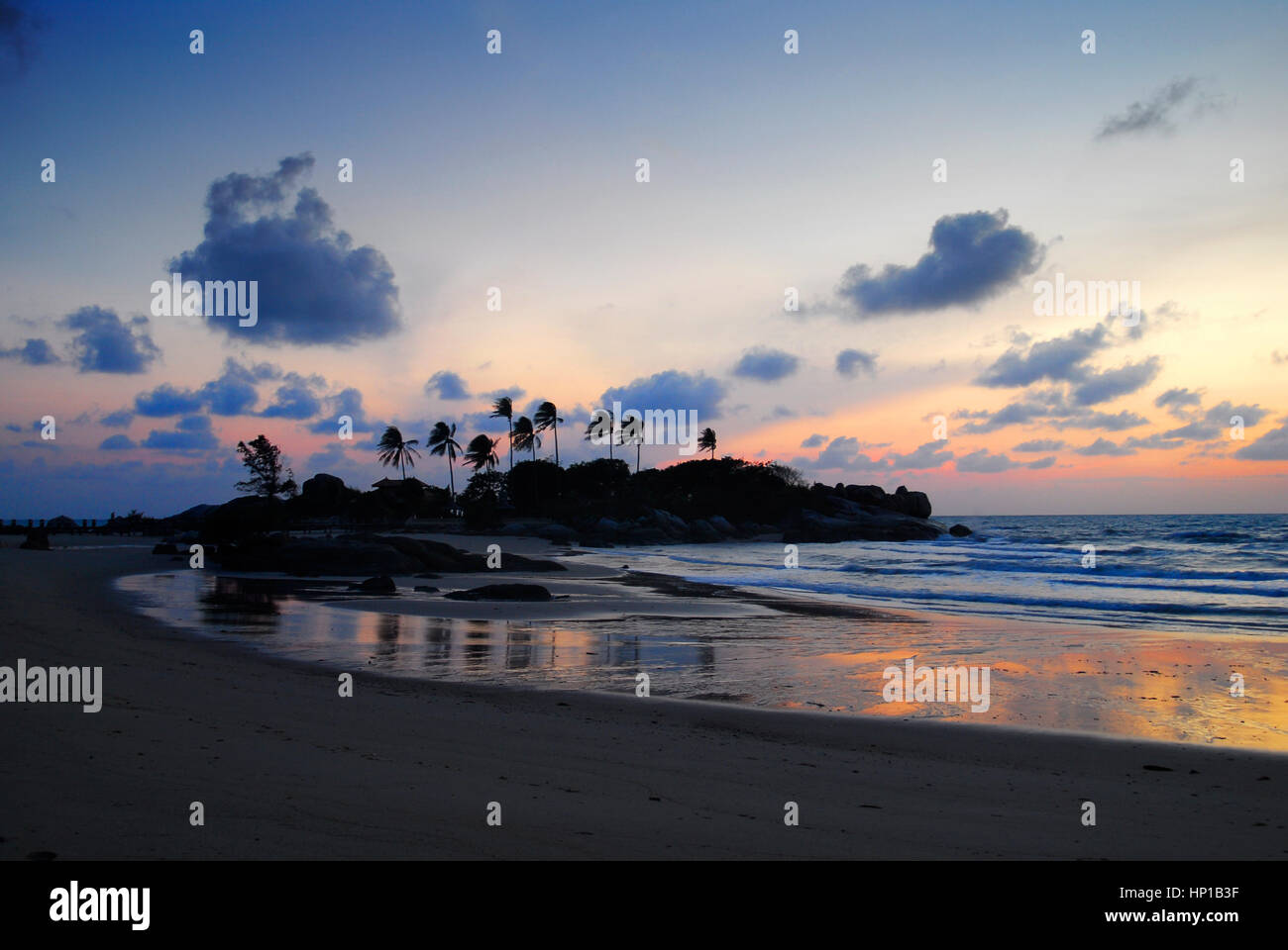 Palm tree silhouette at the beach during nightfall Stock Photo - Alamy