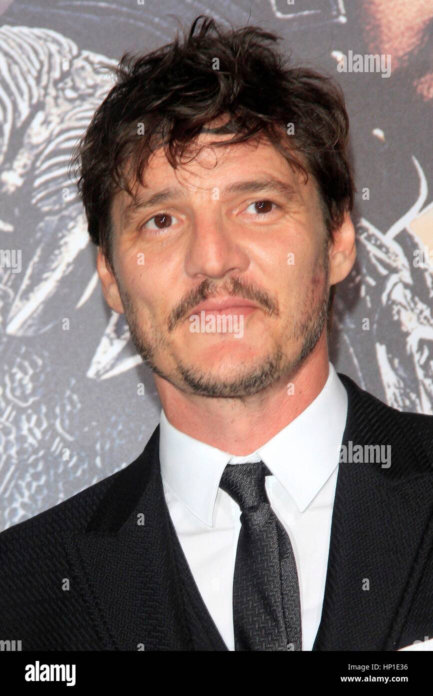 Los Angeles, CA, USA. 15th Feb, 2017. Pedro Pascal at arrivals for THE ...
