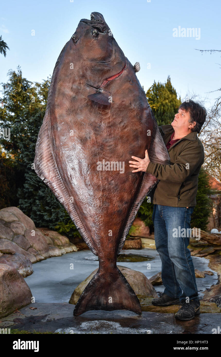 Fuerstenwalde, Germany. 16th Feb, 2017. Taxidermist Thomas Winkler ...