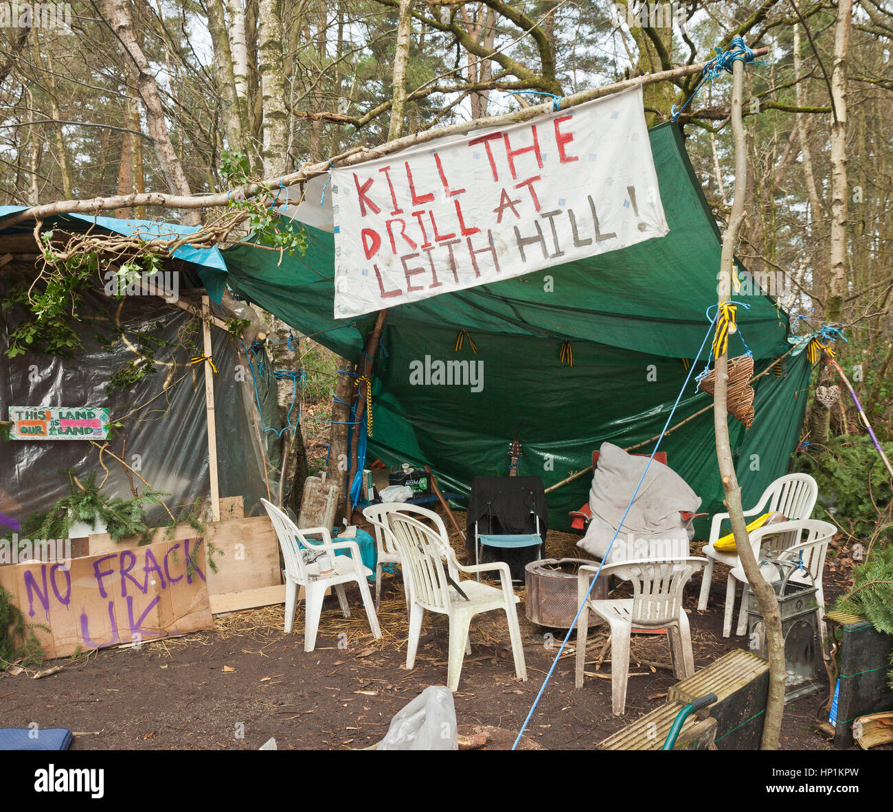 Coldharbour Lane, Abinger Forest, near Leith Hill, Surrey, UK. 17th Feb ...