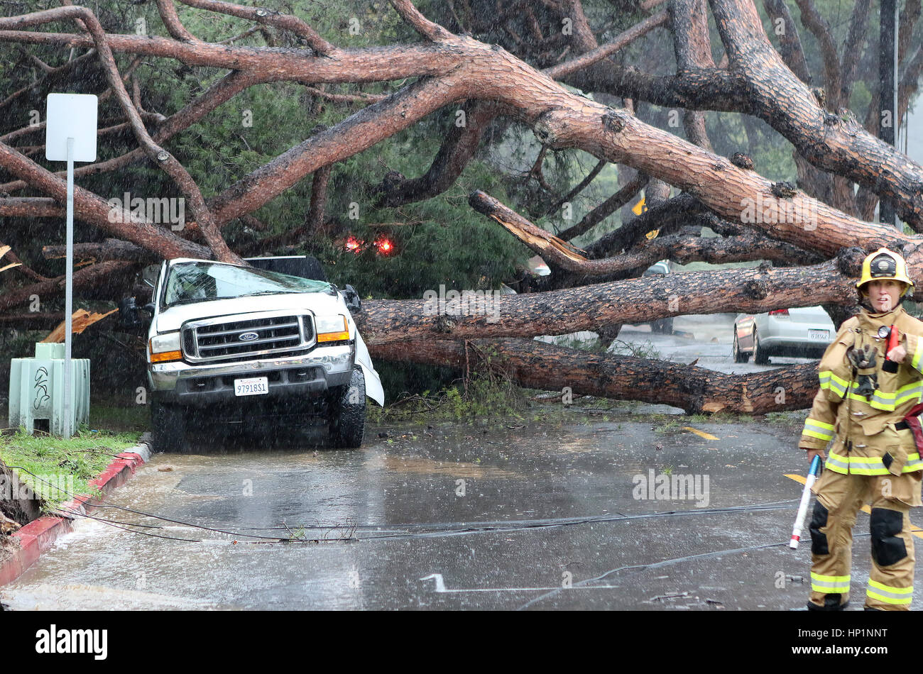 Smashing the tree hi-res stock photography and images - Alamy