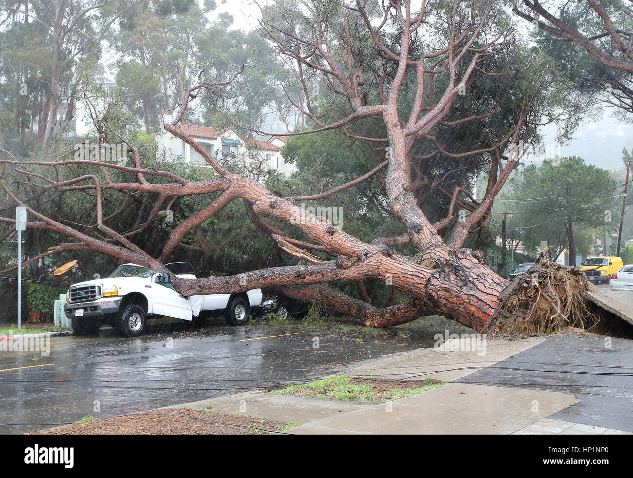 Smashing the tree hi-res stock photography and images - Alamy