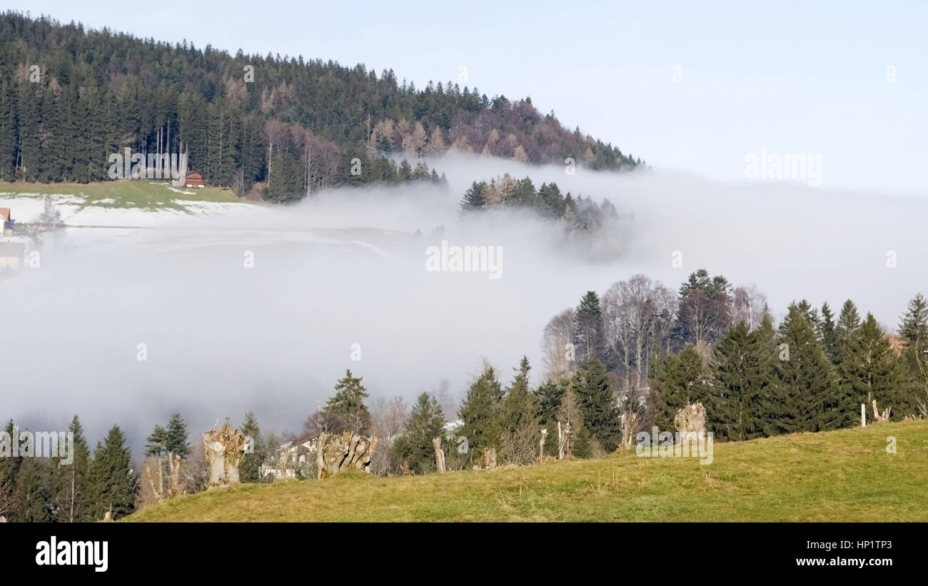 Bodennebel - ground fog Stock Photo - Alamy