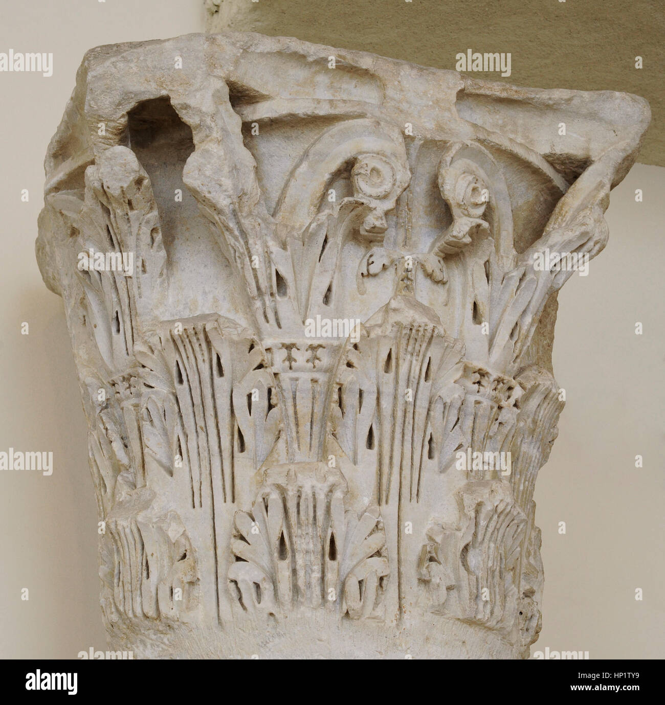 Corinthian capital decorated with acanthus leaves. From Provincial ...