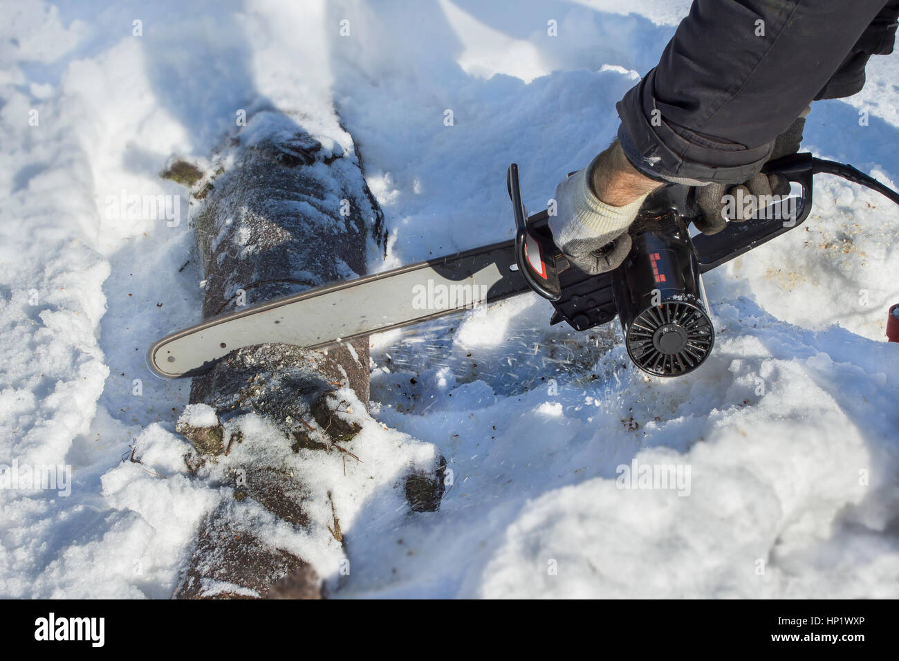 Lumberjack cuts tree limb pieces hi-res stock photography and images ...