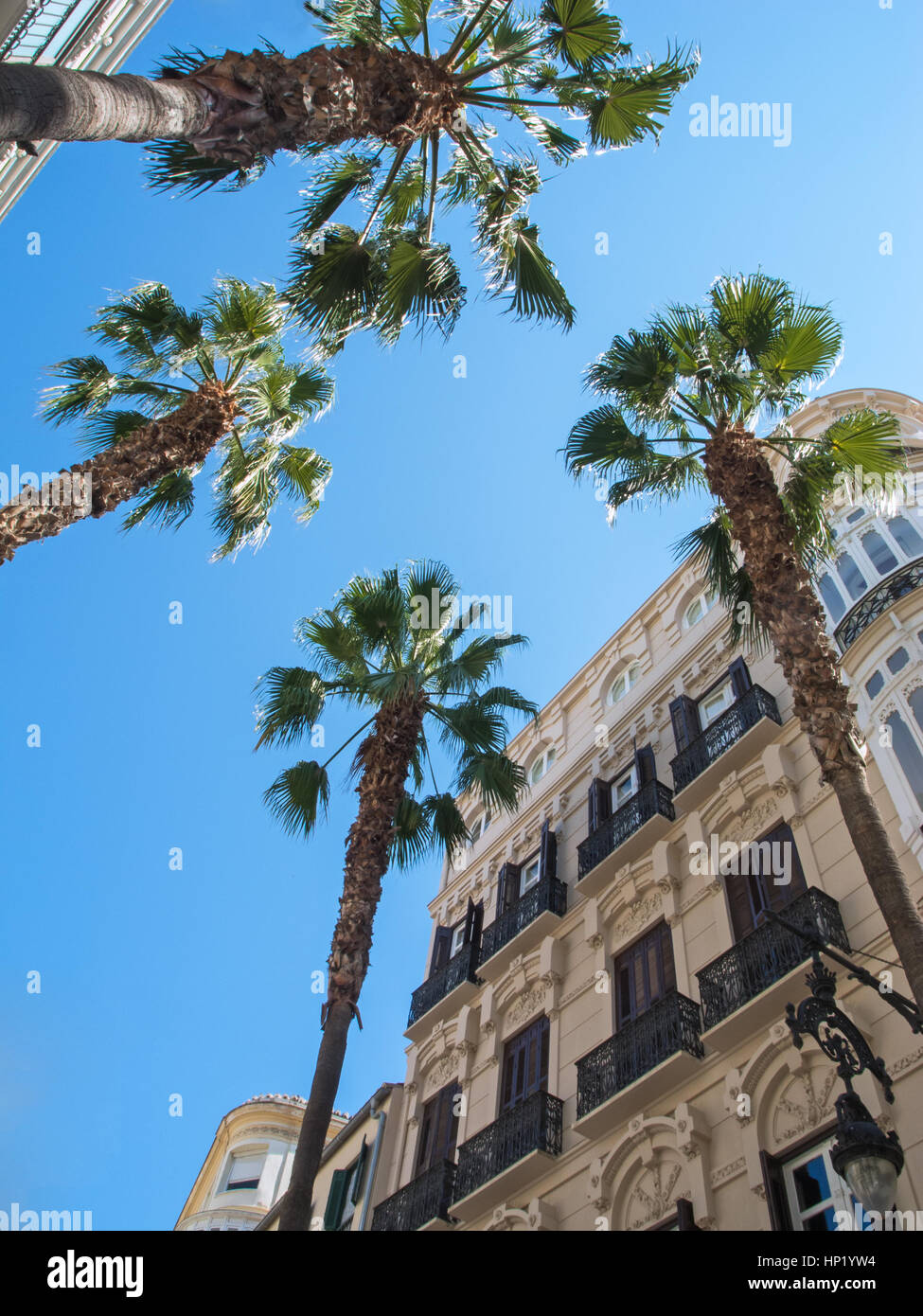 Historical buildings and palm trees at Malaga, Andalusia, Spain Stock ...