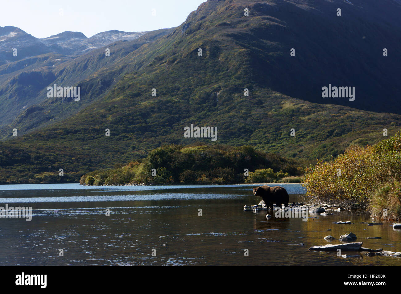 Kaflia hi-res stock photography and images - Alamy