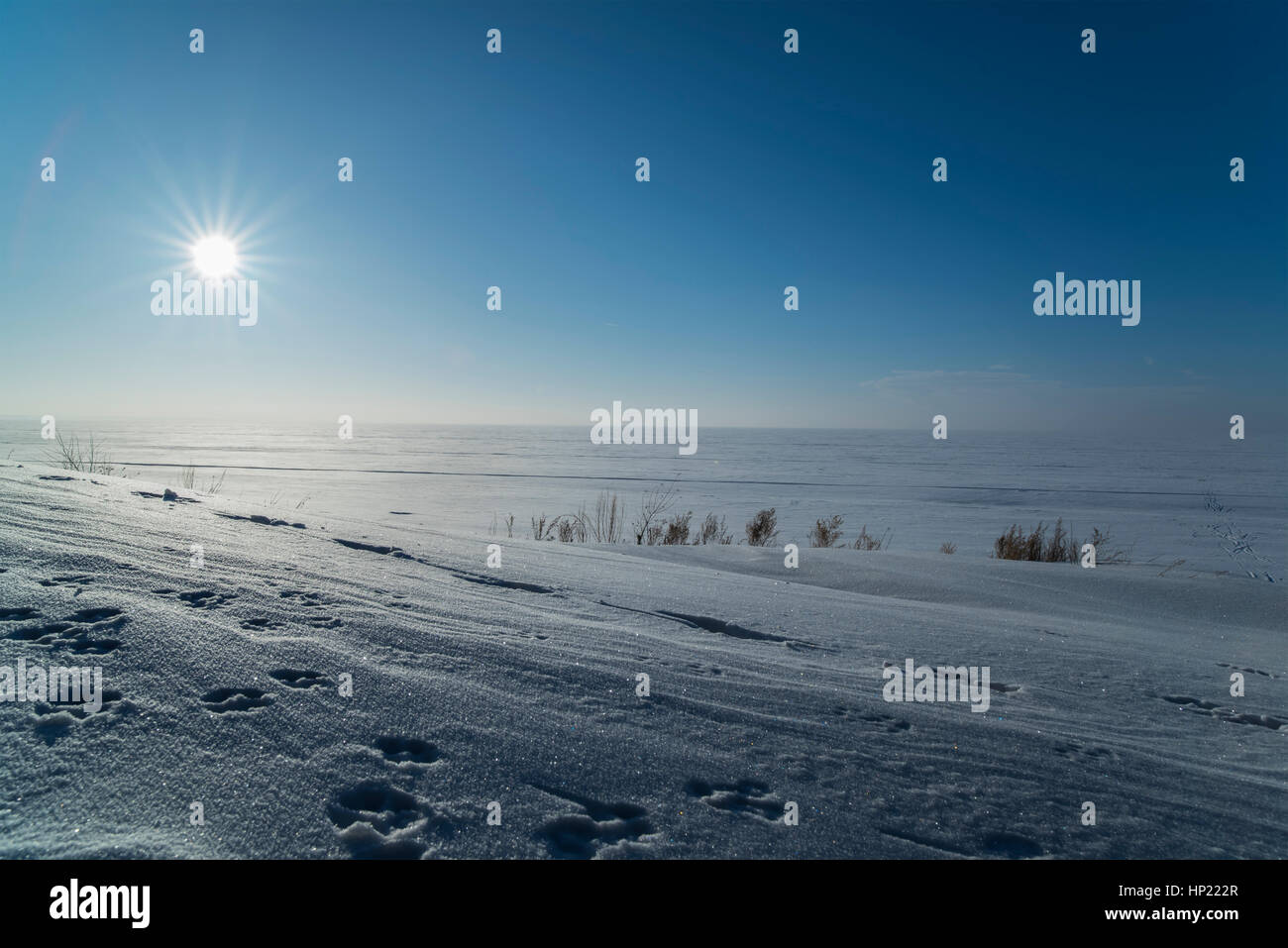 Russia, Siberia, Novosibirsk region, winter landscape in the Ob ...