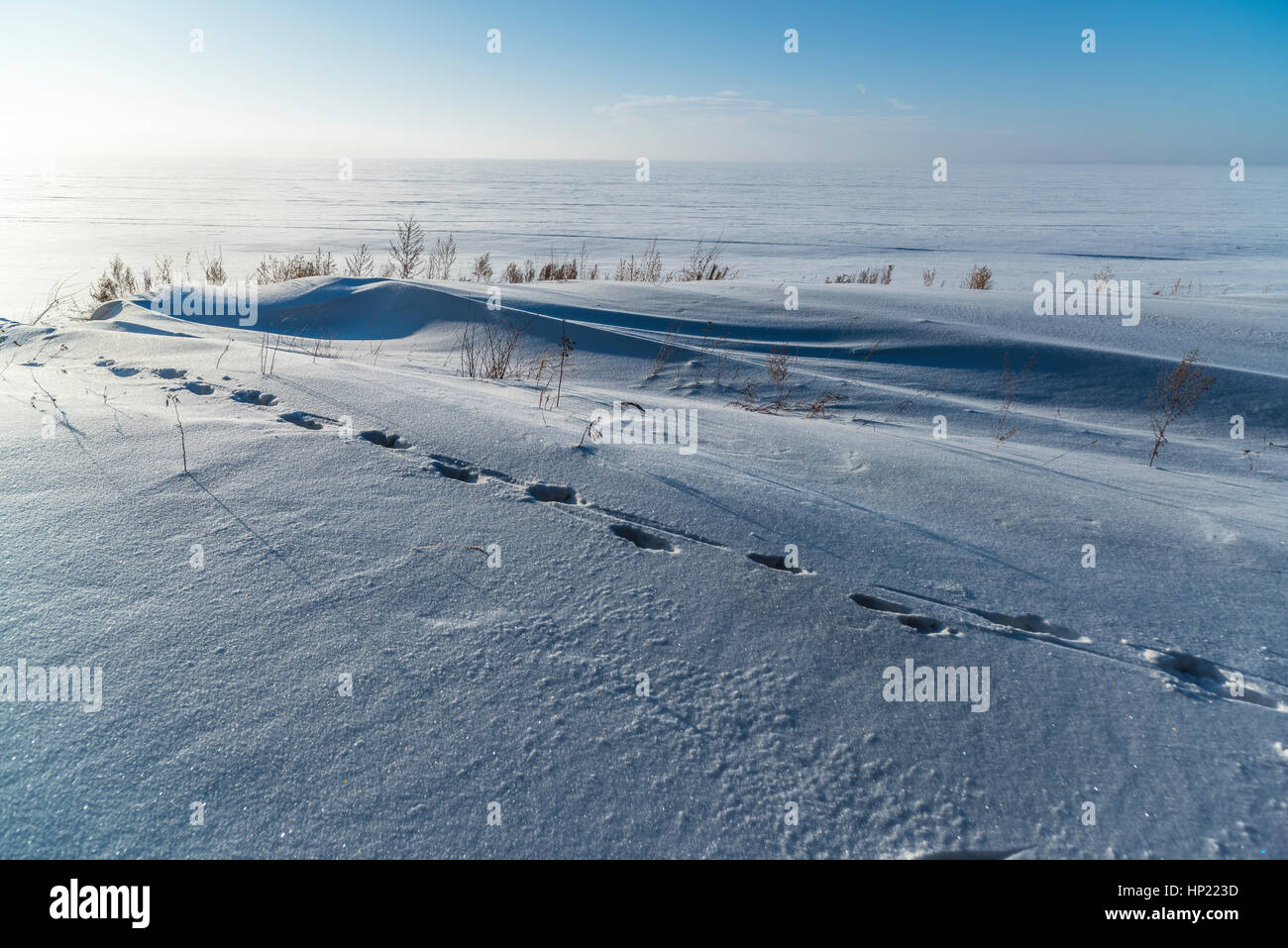 Russia, Siberia, Novosibirsk region, winter landscape in the Ob ...