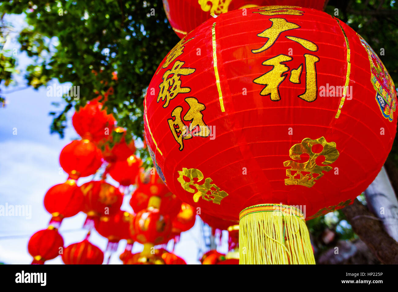 Chinese lanterns during new year festival Stock Photo - Alamy