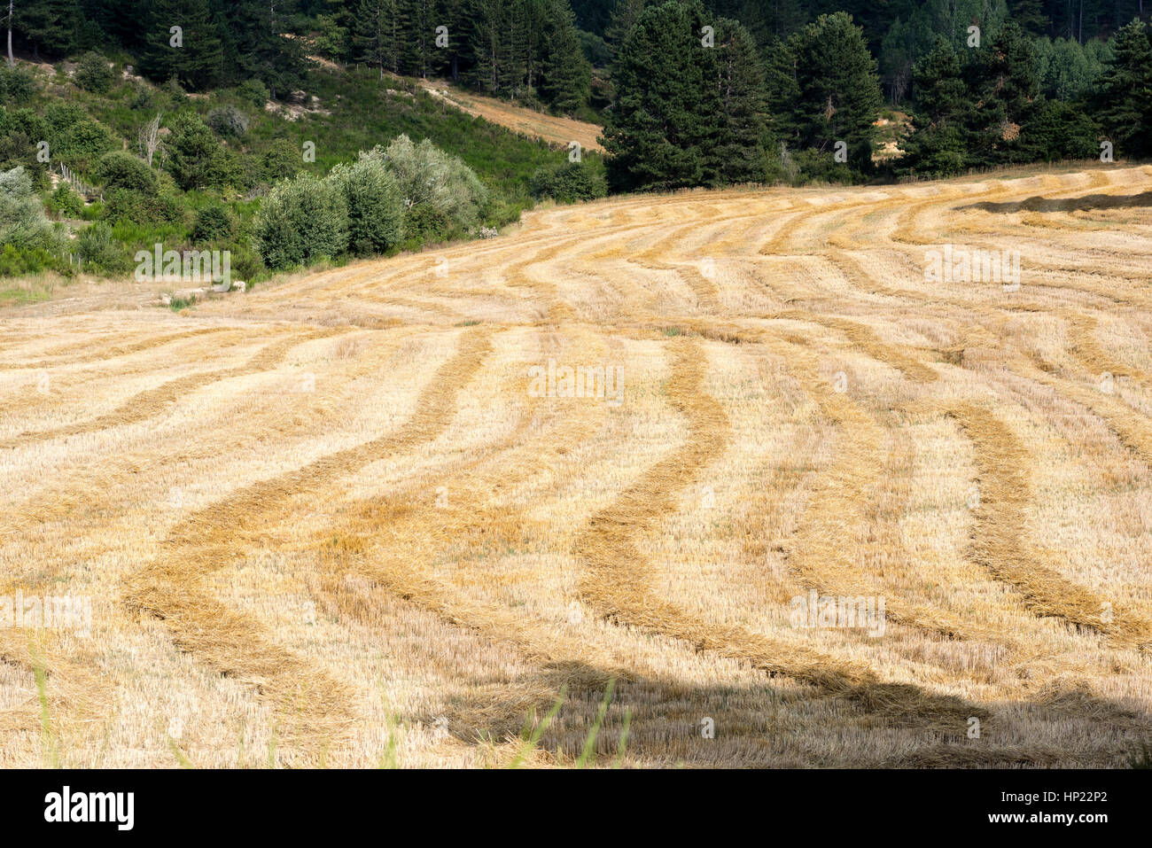Countryside cut hi-res stock photography and images - Alamy