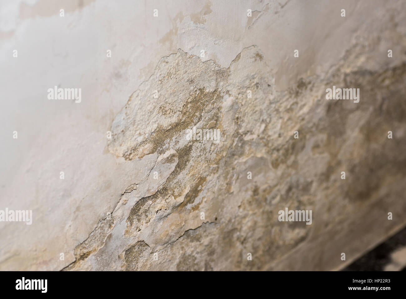 Mold at wall Stock Photo - Alamy