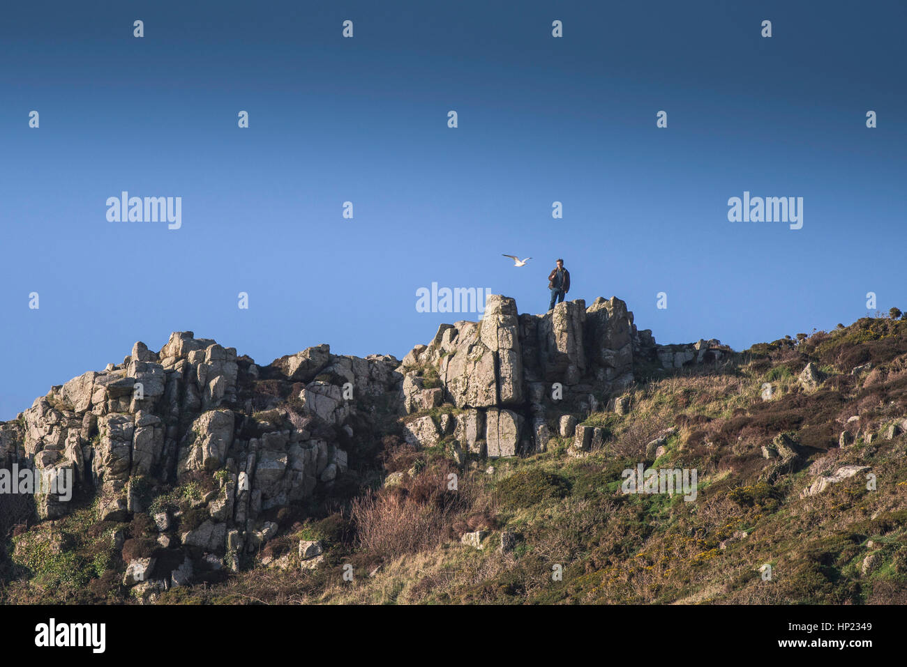 Figure individual hi-res stock photography and images - Alamy