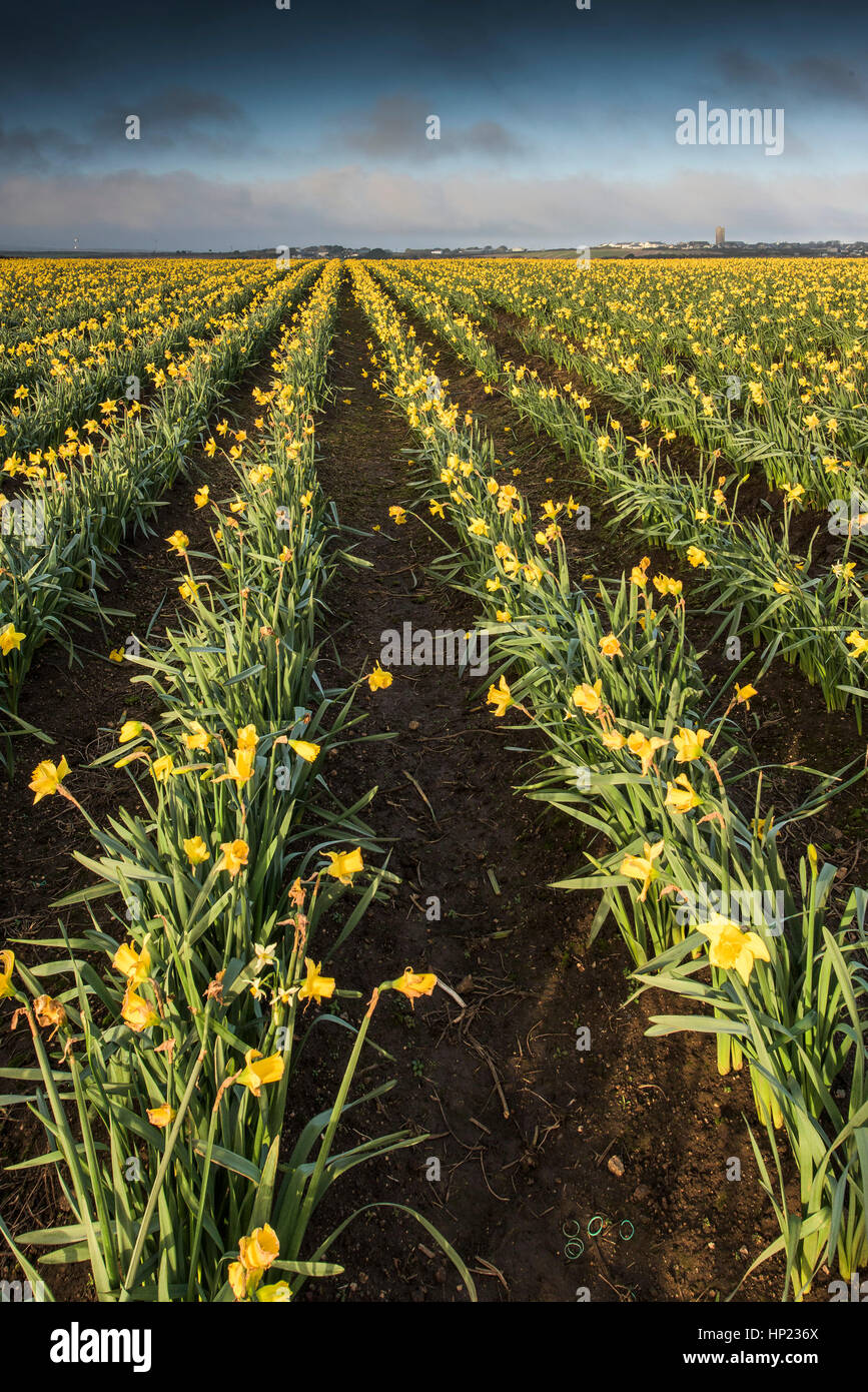 Agriculture spring hi-res stock photography and images - Alamy