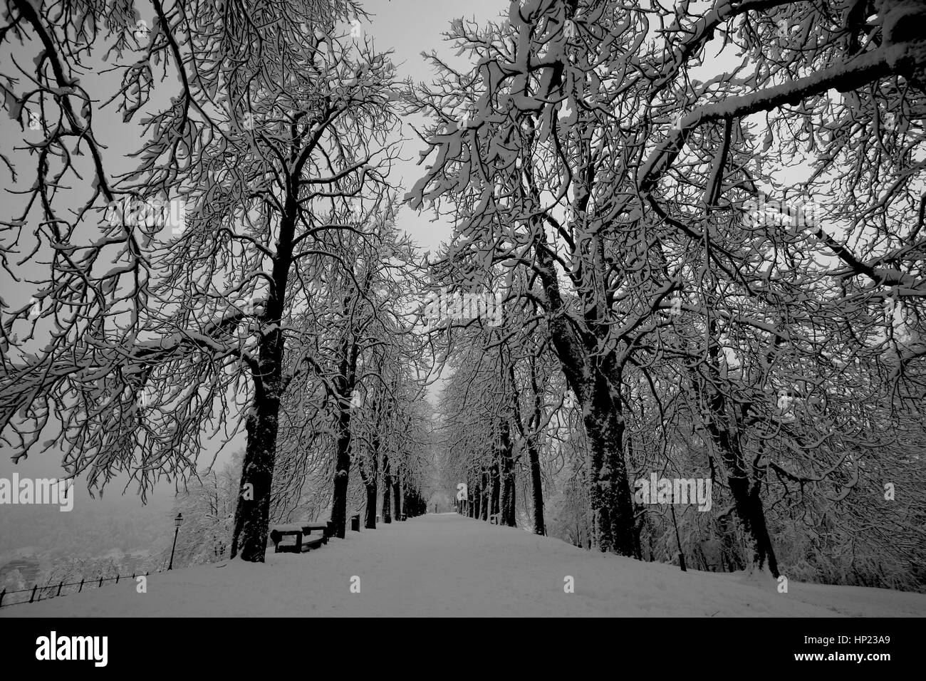 A collection of photos, taken on a winters walk Stock Photo - Alamy