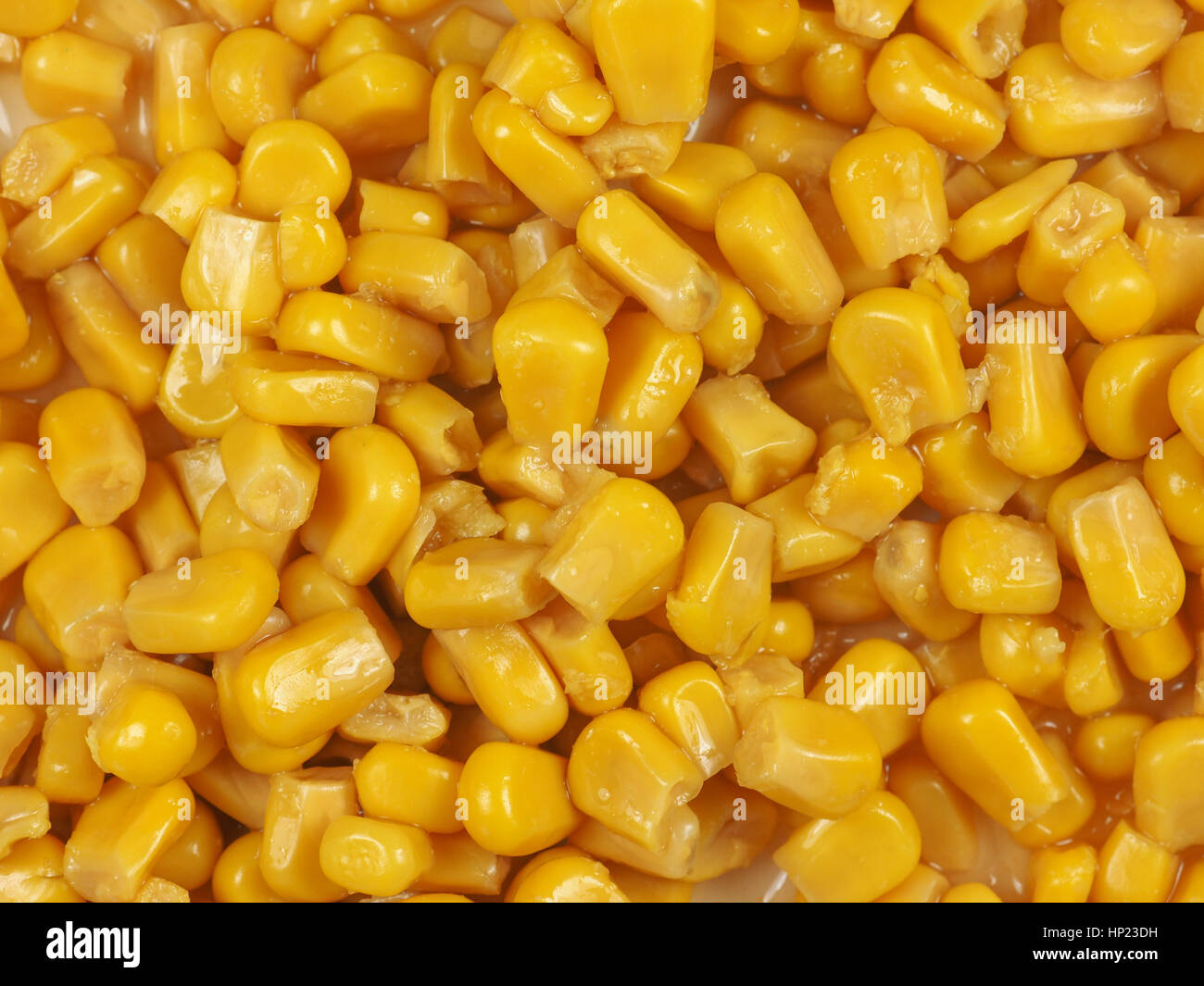 maize corn food useful as a background Stock Photo - Alamy