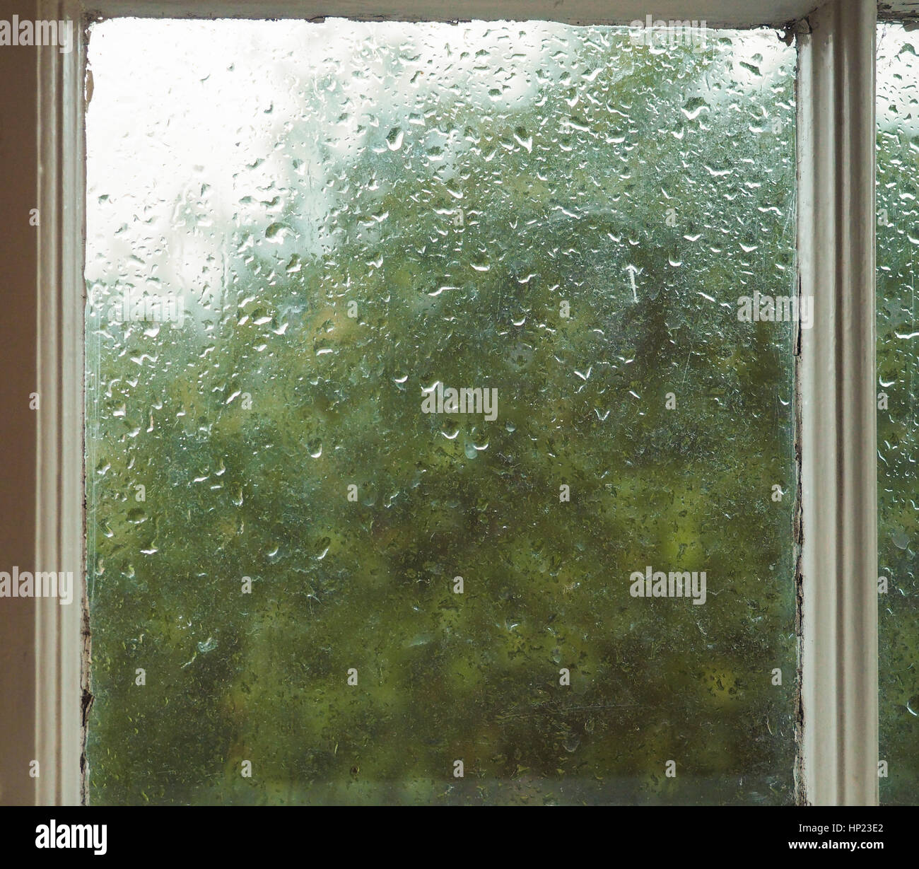 Wet window pane with rain water droplets and greenery background Stock Photo - Alamy