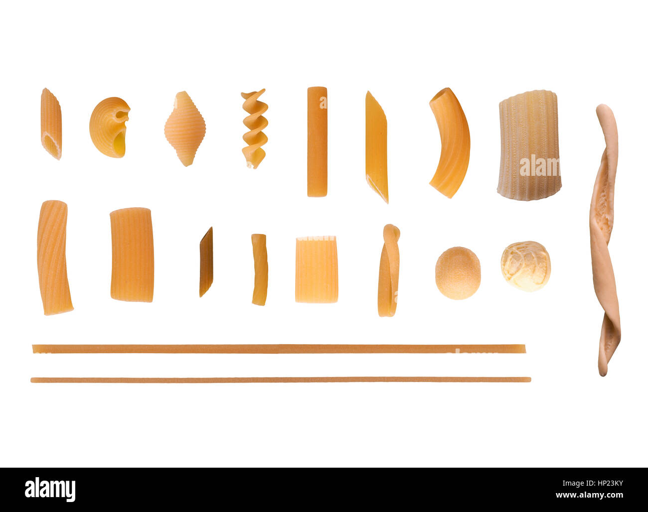 Different types of shells Cut Out Stock Images & Pictures - Alamy