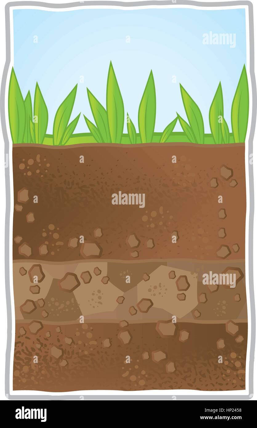 An illustration of a cross section of underground Stock Vector Image ...