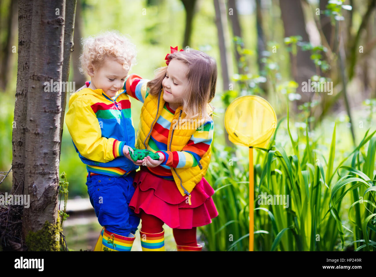 Children playing outdoors. Preschool kids catching frog with net. Boy ...
